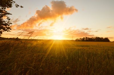 Greenbase Eble | Fachhandel für Garten und Forst